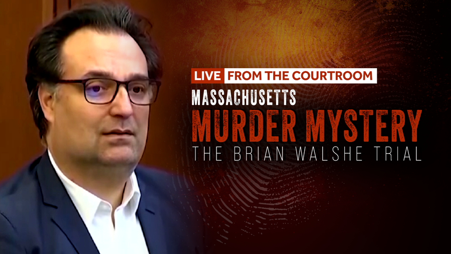 How to catch up on the Brian Walshe trial before sentencing