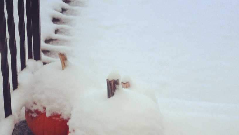 Photos: The Halloween snowstorm - Snowtober 2011
