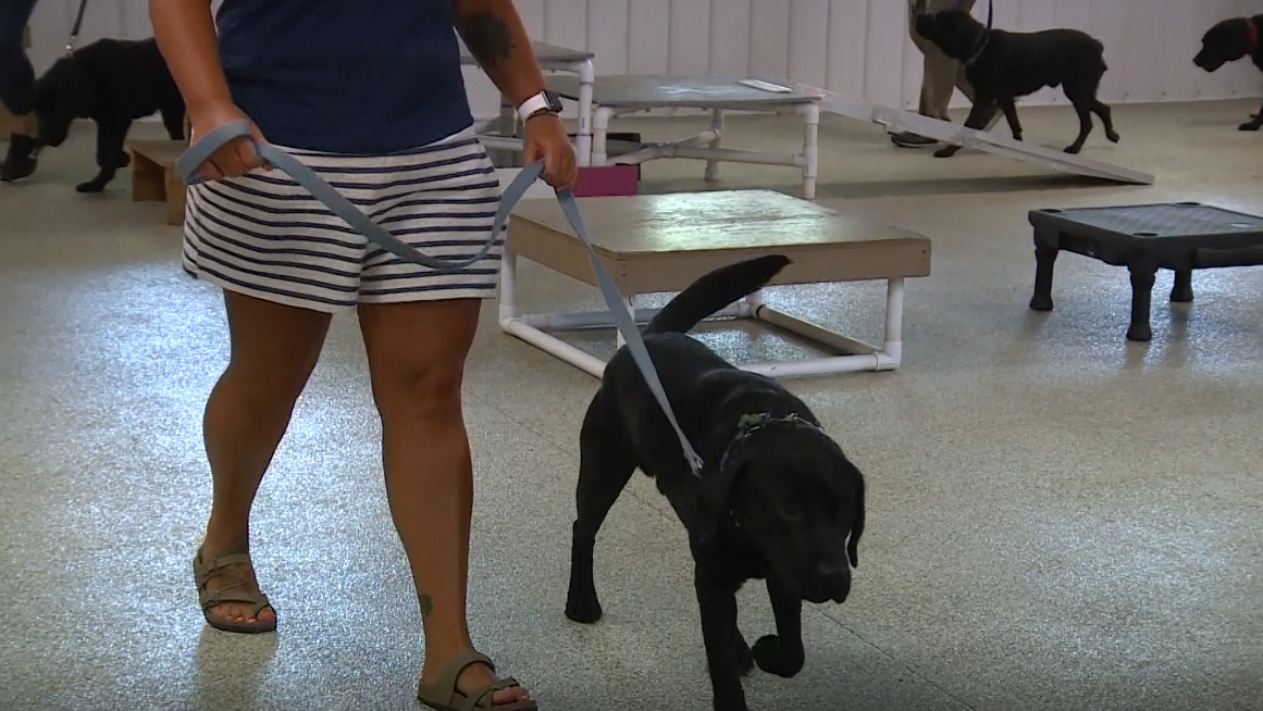 Therapy dogs bring joy to cancer patients at Christ Hospital