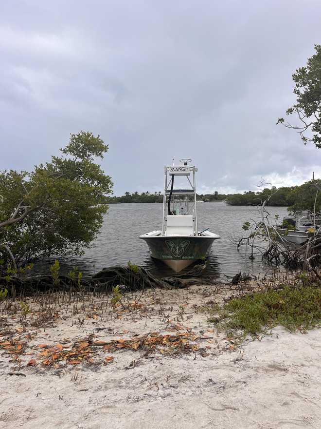 Florida's 7-Acre Sawfish Island fully restored