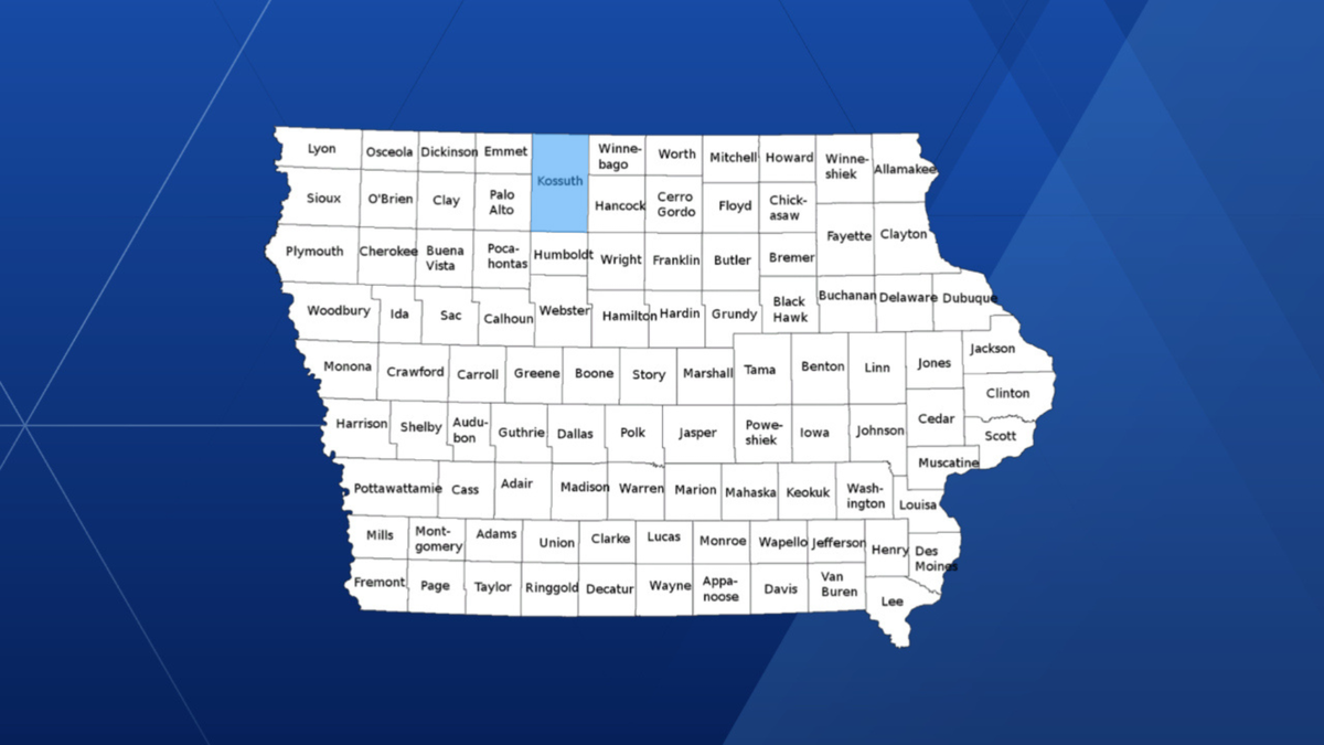 Why doesn't Iowa have 100 counties?