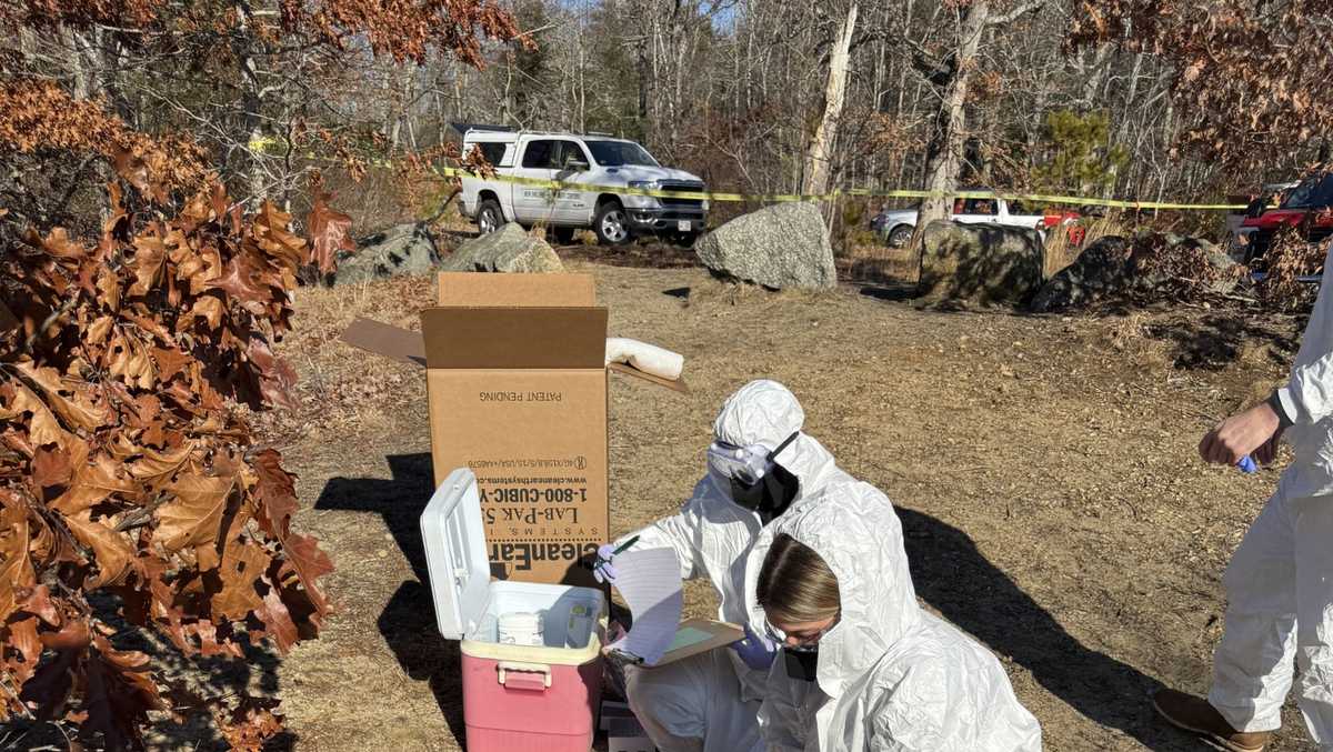 Mass. town confirms positive case of bird flu in goose found at ...