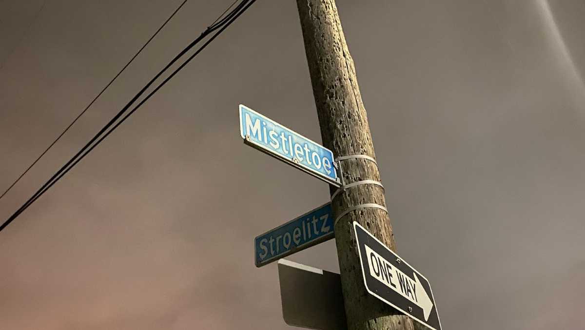 JPSO stolen K-9 unit recovered in New Orleans