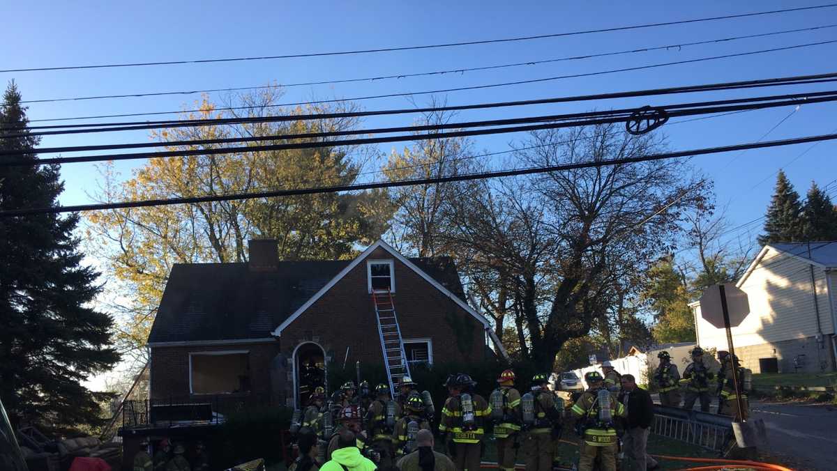 Family's dog rescued from Shaler Township house fire