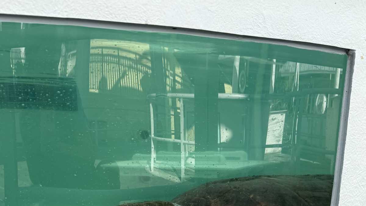 Loggerhead Marinelife Center wins Best Free Attraction second year in a row