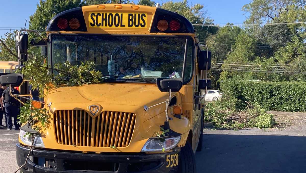7 students suffer minor injuries in Woodlawn school bus crash