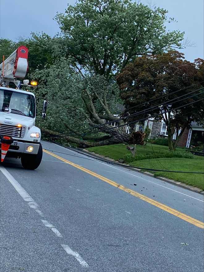 Tree falls on power lines, backs up traffic on West High Street