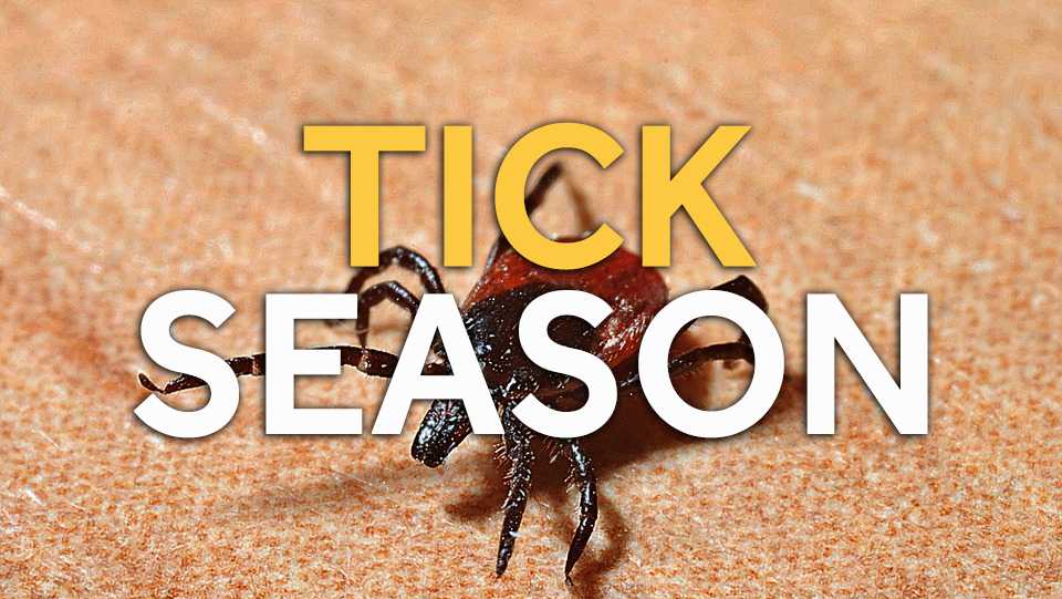 Warmer weather means more ticks, increased risk of Lyme disease