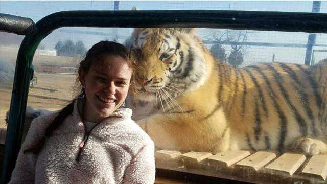 Safari Jeep Encounter puts riders face-to-face with tiger in Tuttle