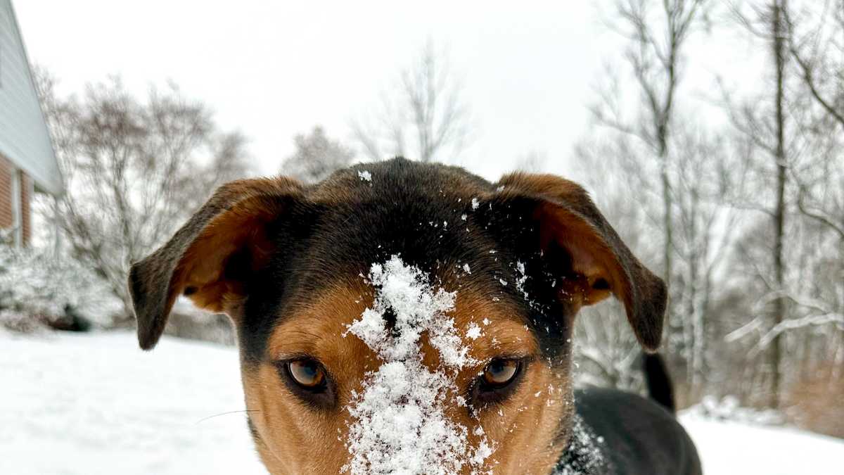 See Baltimore's first snow in 716 days in photos
