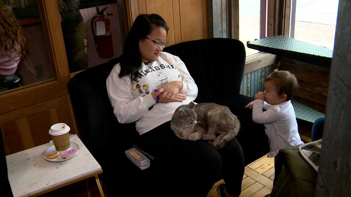 NH Chronicle: The Tipsy Tabby