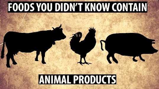 Foods you didn't know contain animal products