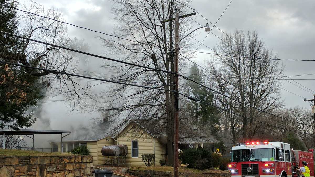 Two pets killed in house fire