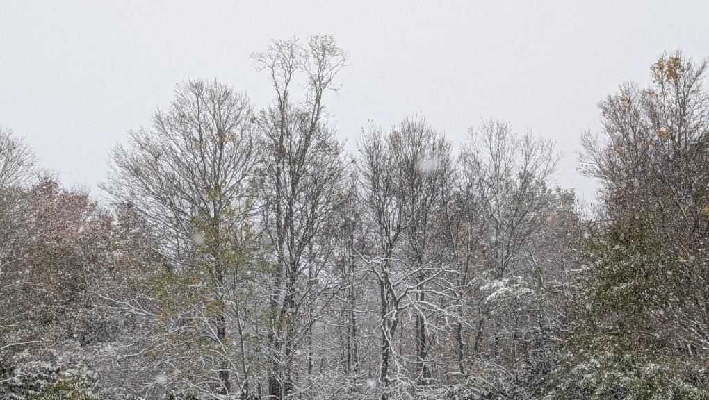 PHOTOS: First snowfall of the season across Greater Cincinnati