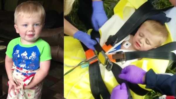 ‘I was bawling like a baby’: How a toddler survived 3 days alone in ...