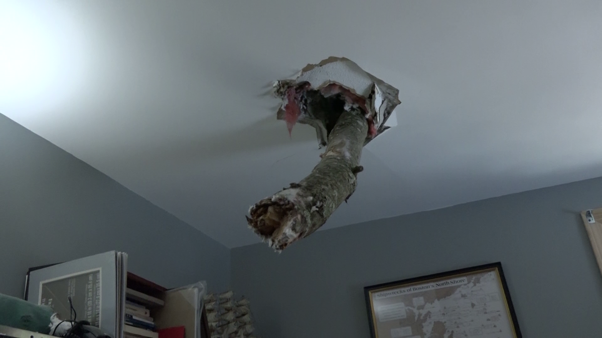 Tree limb spears through bedroom ceiling during high winds