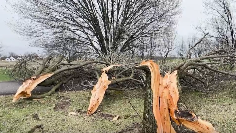 National Weather Service confirms tornadoes touched down in Butler ...
