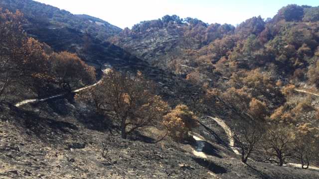 First look at Toro Park and the damage caused by the River Fire