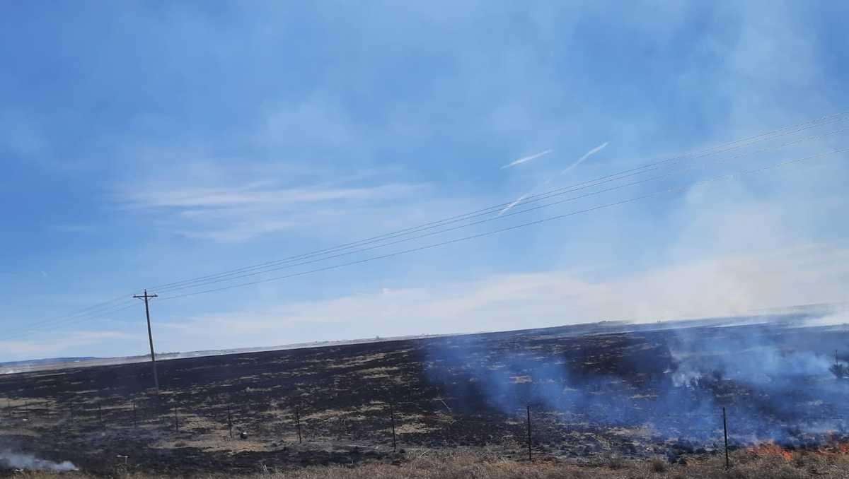 Crews contain 200 acre grass fire near Moriarty