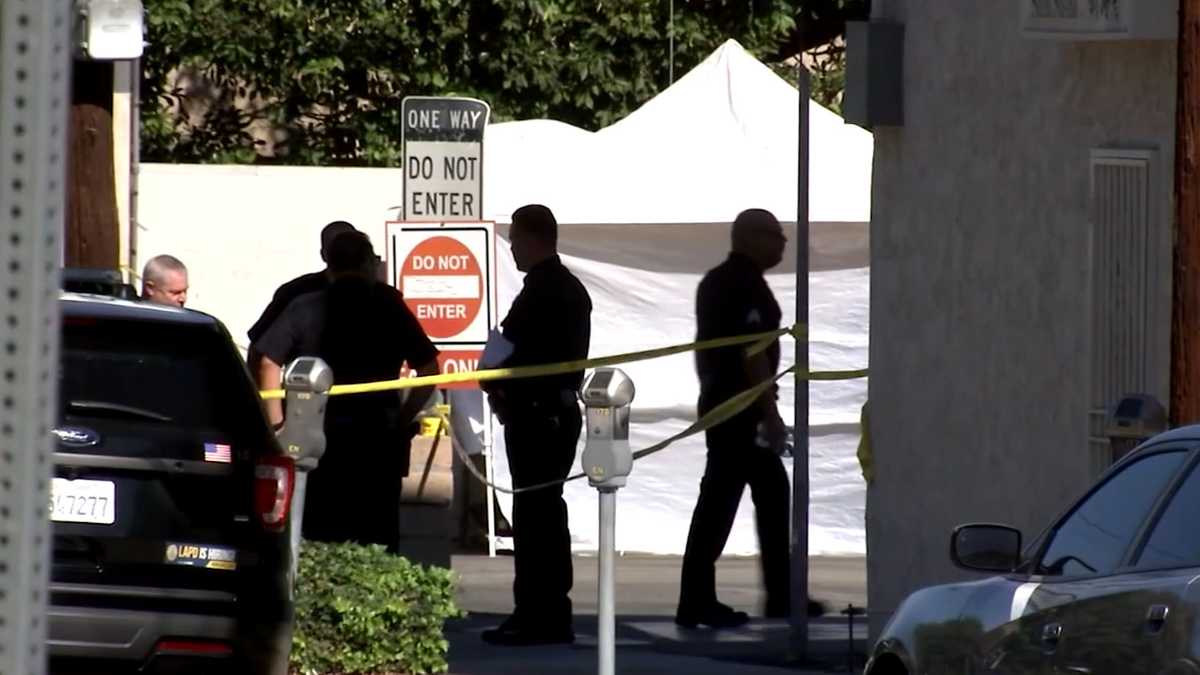 Son of former Miss Mississippi arrested after woman's torso found near ...