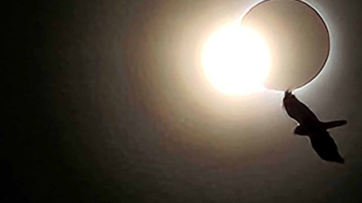 2024 solar eclipse photos: Viewer photos from Vermont, New York