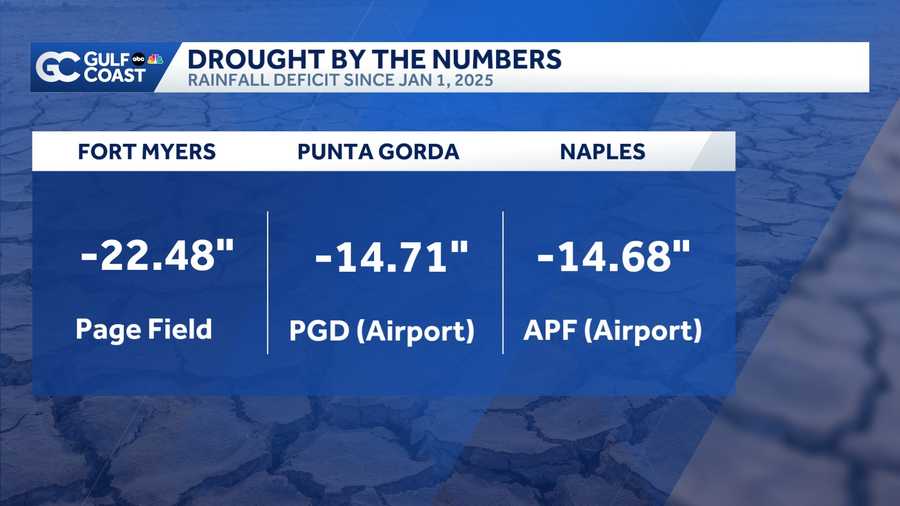 Drought persists throughout Southwest Florida even with recent rain - WBBH