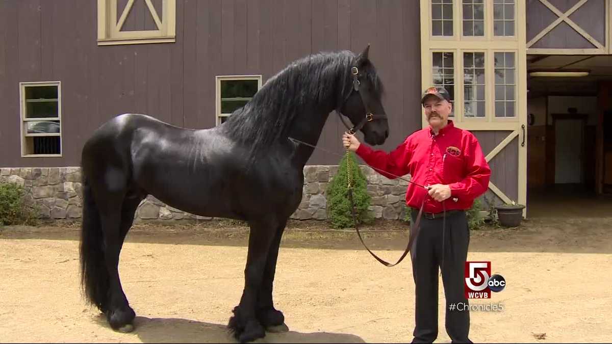 Main Streets and Back Roads: Townshend, Vermont