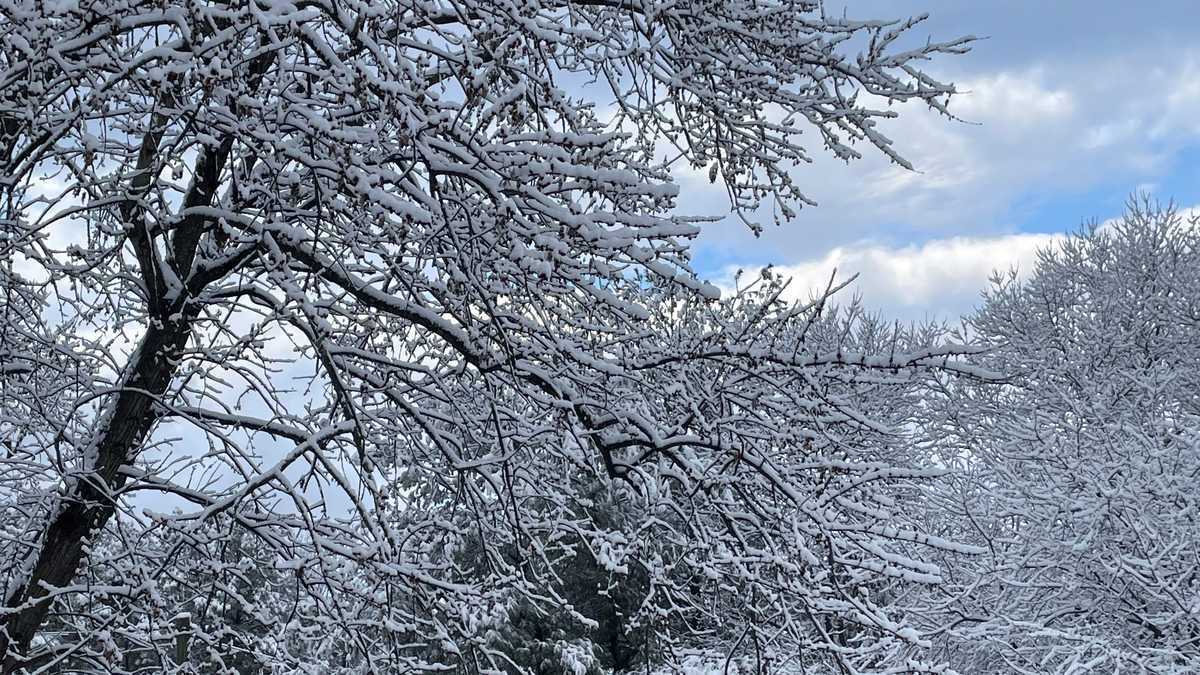 Snowfall totals across Maryland on Dec. 14, 2025 | Photos