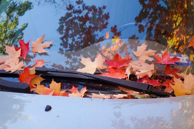 Have you scheduled fall auto service yet?