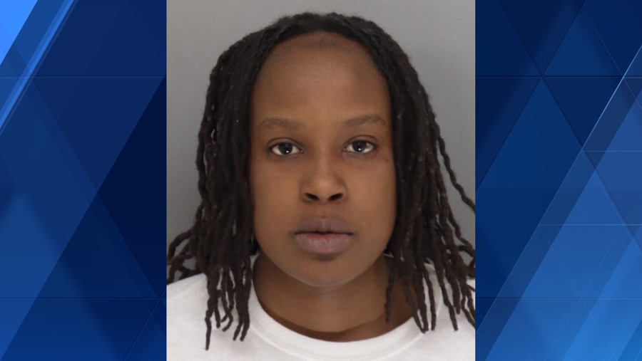 Court docs: Woman charged with assault after allegedly shooting victim ...