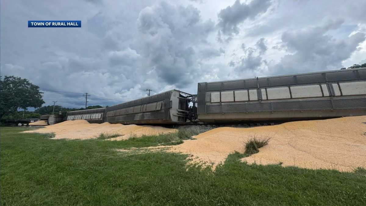 Train derails in Rural Hall; track expected to be repaired by next week ...