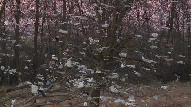 Winds whip up trash from landfill into trees and yards