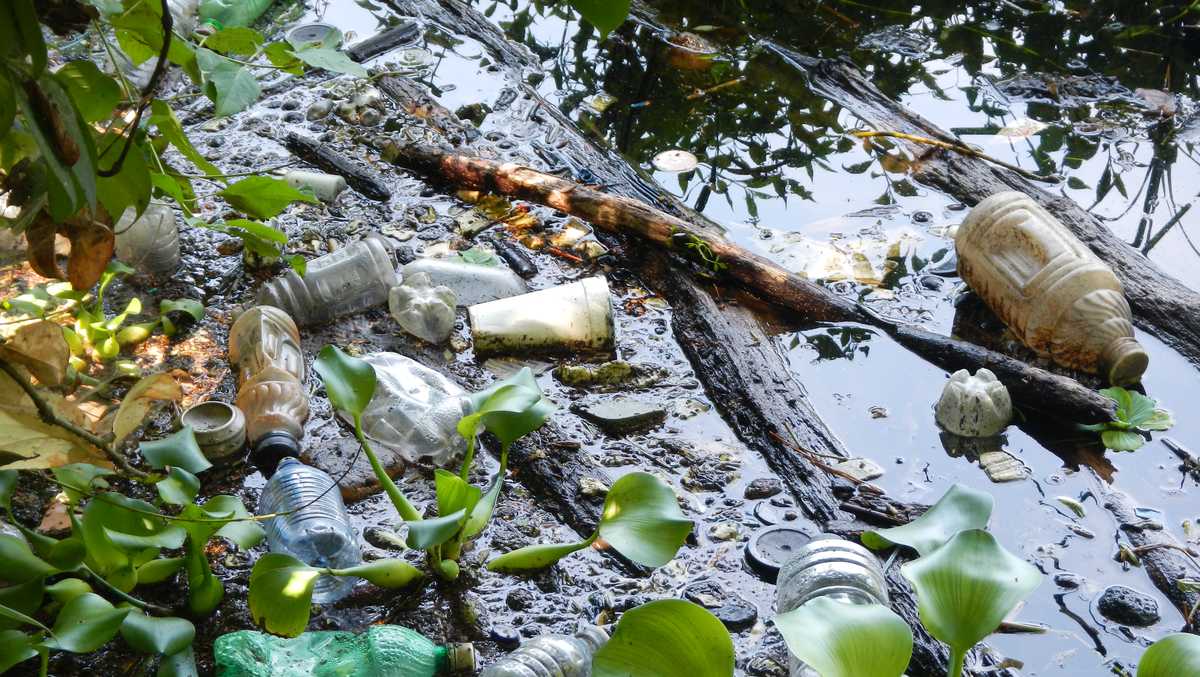 Riverkeepers donate films to 18 Birmingham Public Libraries