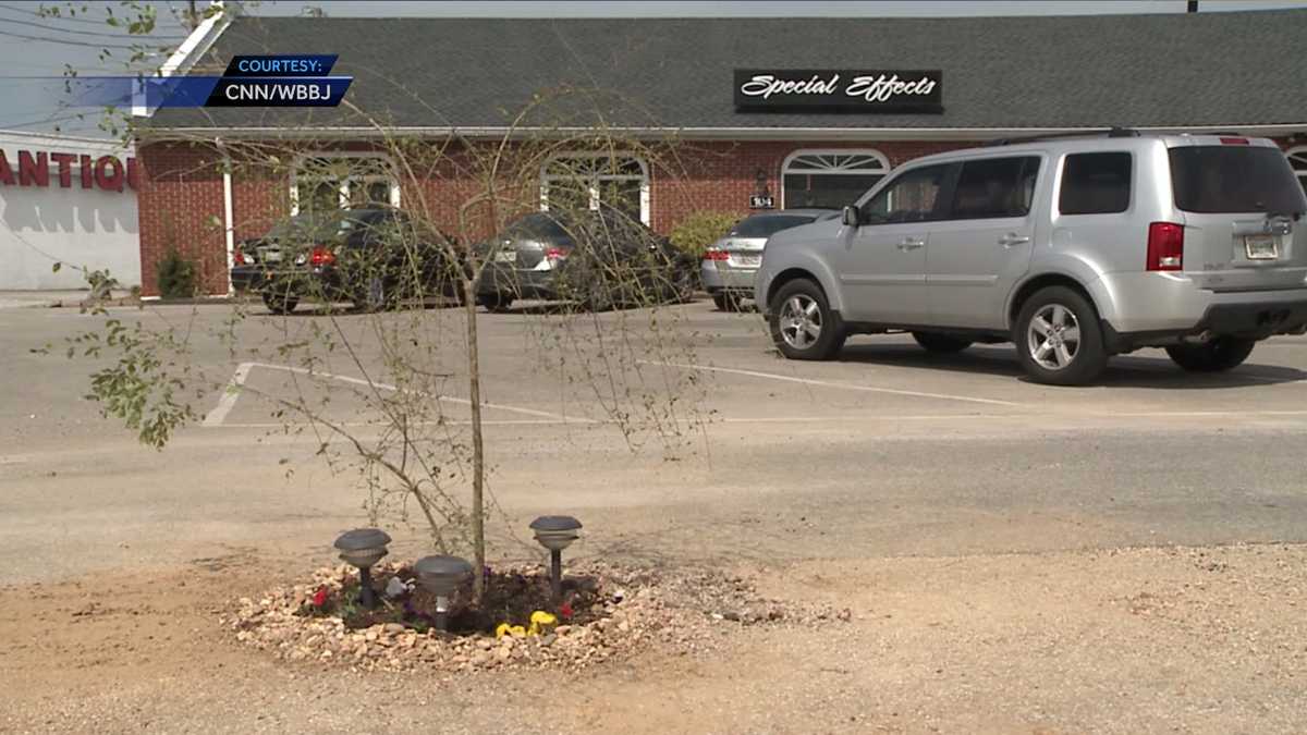 Frustrated business owner plants tree in pothole