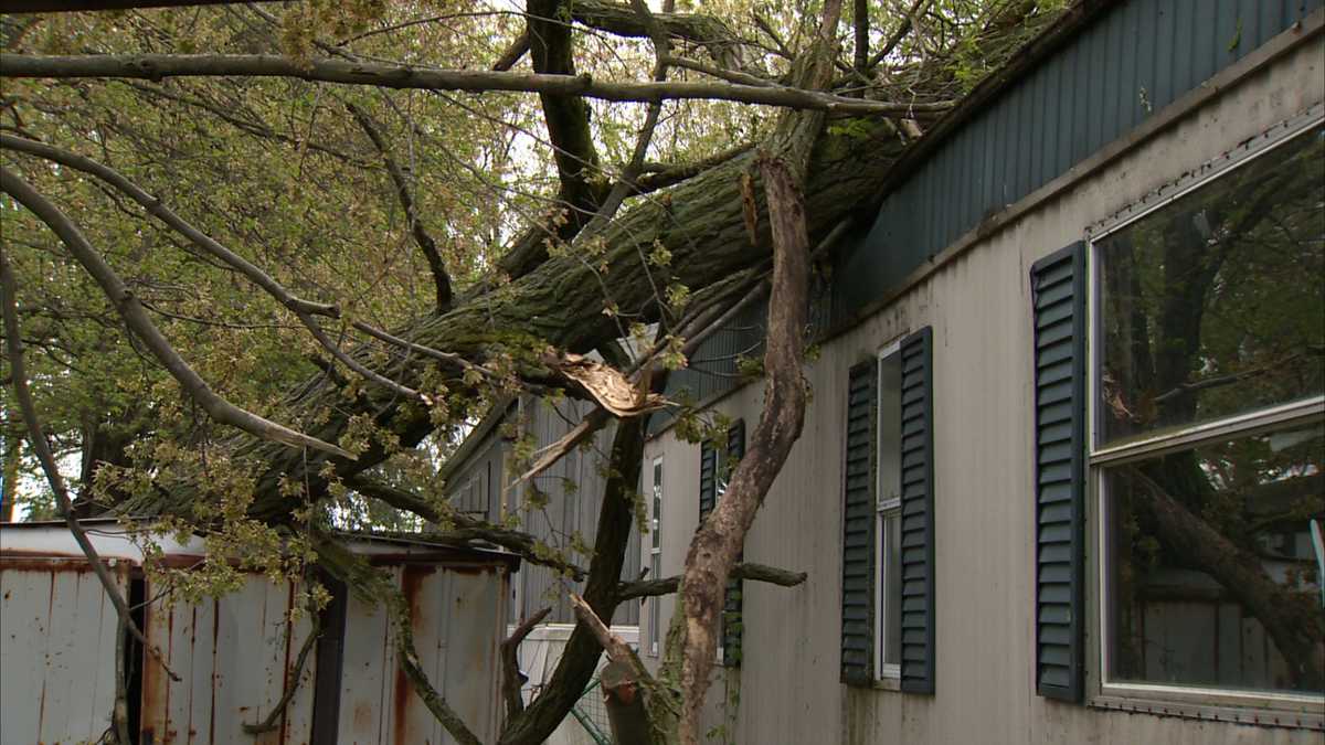 Tornado confirmed in Butler County after damage survey