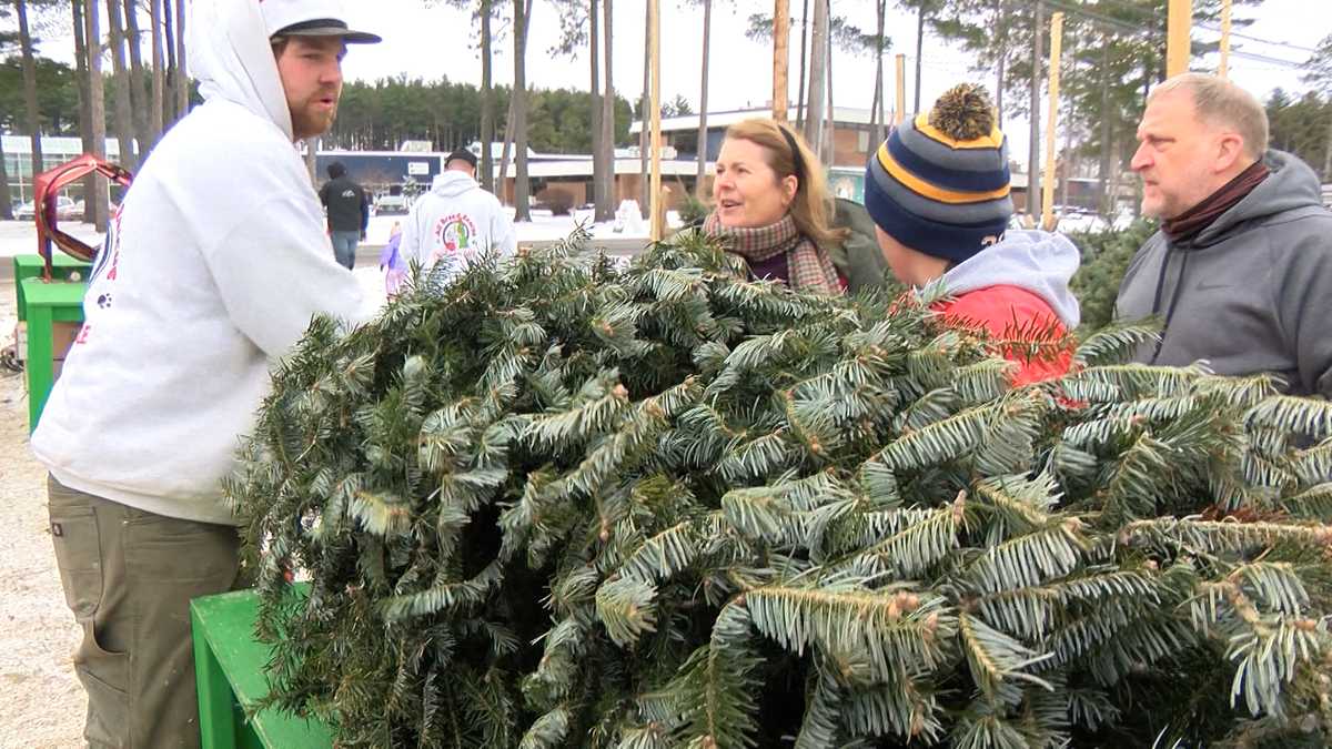 Barking up the right tree: Dog shelter holds annual fundraiser