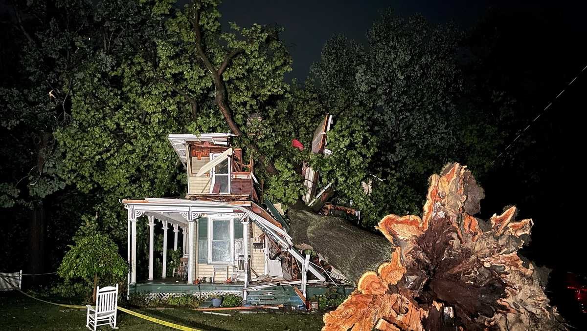 Tree falls on house as strong storm hits Beaver County