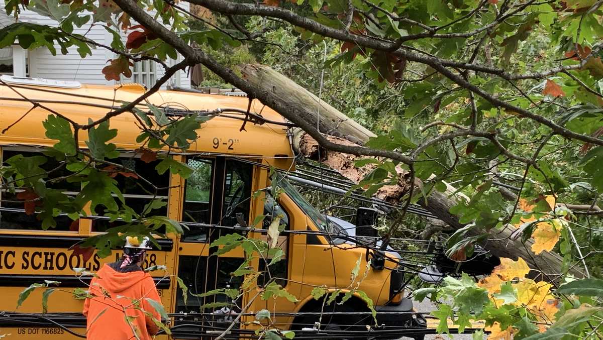 Images: Powerful storm leaves trail of damage across state
