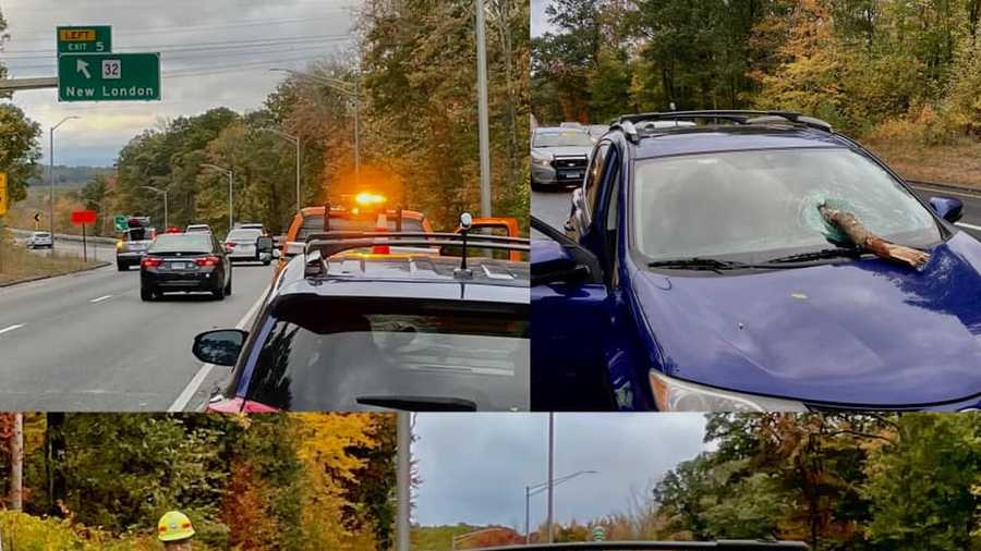Tree branch flies through car windshield in Connecticut