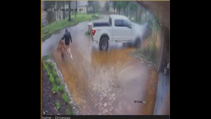 VIDEO: Florida woman nearly hit by tree during Hurricane Ian