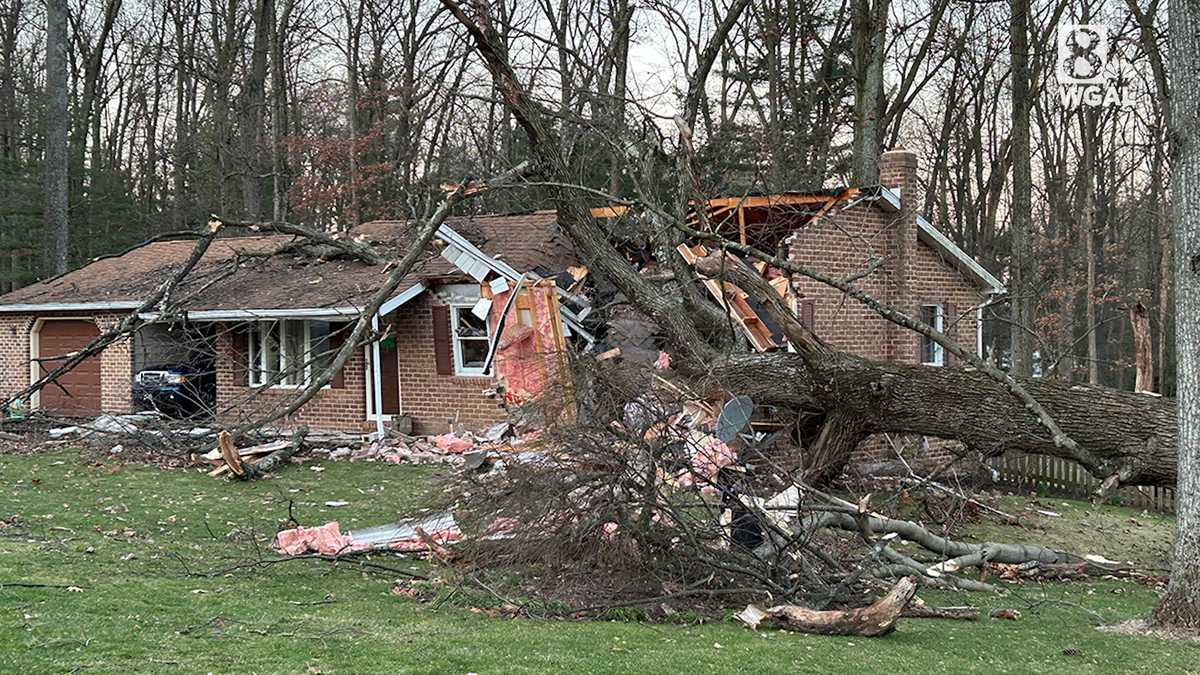 Fallen tree destroys house overnight in Cumberland County, Pa.