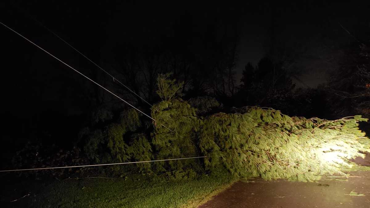 PHOTOS: Storms leave trail of widespread damage across the region