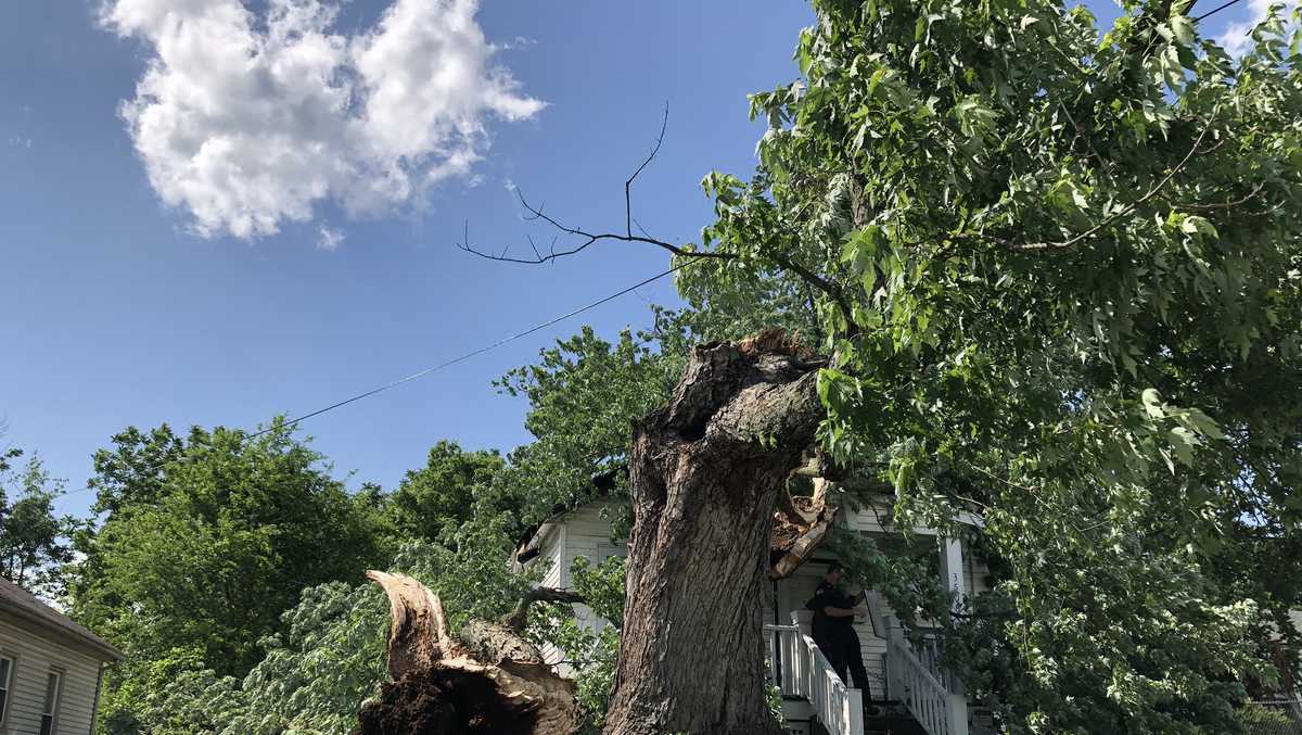 Severe storms topple tree into Erlanger house