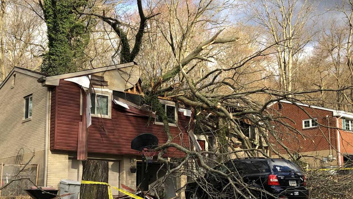 Strong winds send tree into Shaler Township home