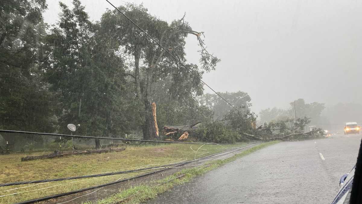 South Carolina: Trees, power lines downed as storms move through