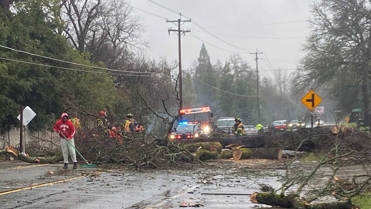 2 hospitalized in Granite Bay after fallen tree lands on multiple ...