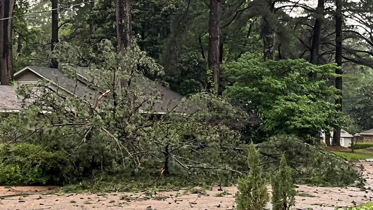 Jackson mayor declares local state of emergency Jackson mayor declares local state of emergency