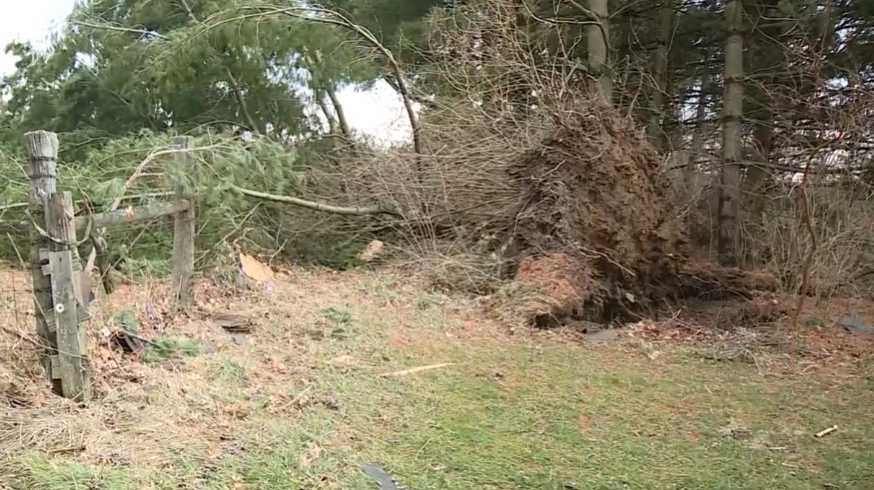 Downed tree and power lines reported on Starkey Road