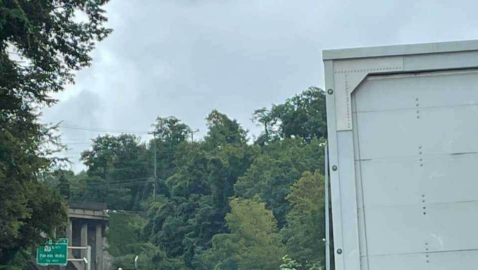 Tree falls onto Parkway East, blocks traffic