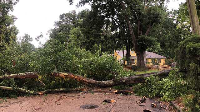 Mississippi Storms Knock Down Trees Leave Thousands Without Power